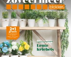 Blokker Folder | Aanbiedingen
